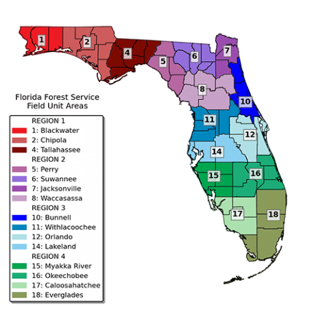 How To Get A FL Burn Permit | BurnDebris.com Air Curtain Burner Rentals